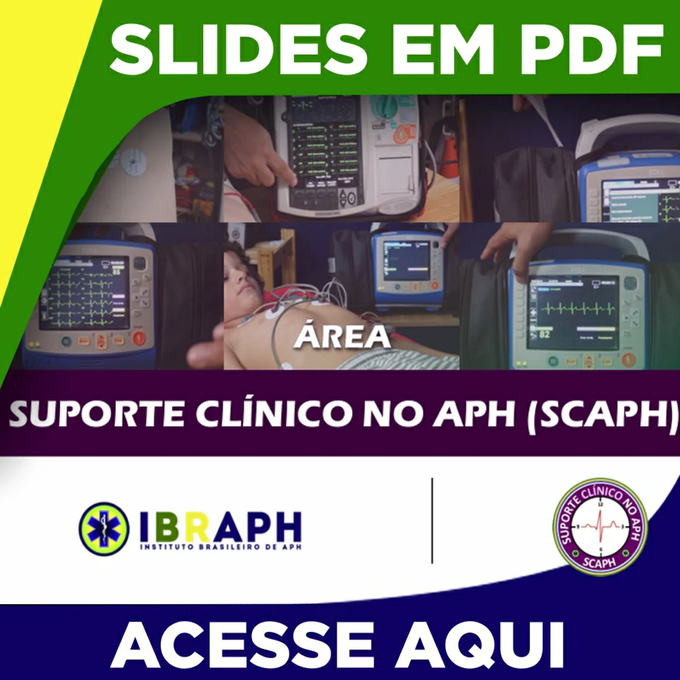 capa pdf wec – IBRAPH